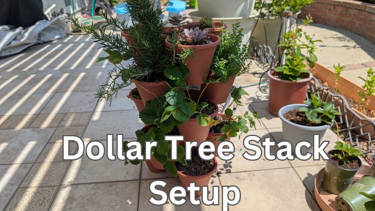 Setting Up the Dollar Tree Stacking Planter – Everything You Need to ...