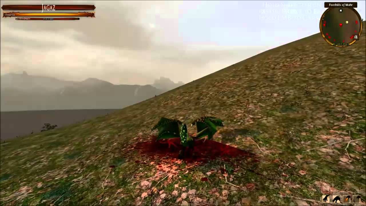 Dragon Update 22.12.14 - YouTube