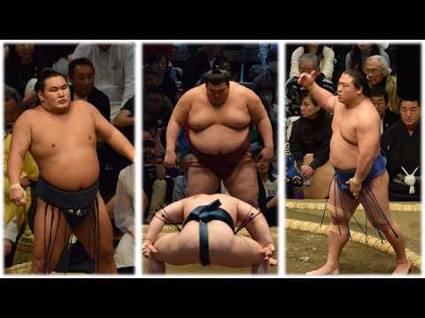 Hoshoryu plays the media game; Atamifuji \