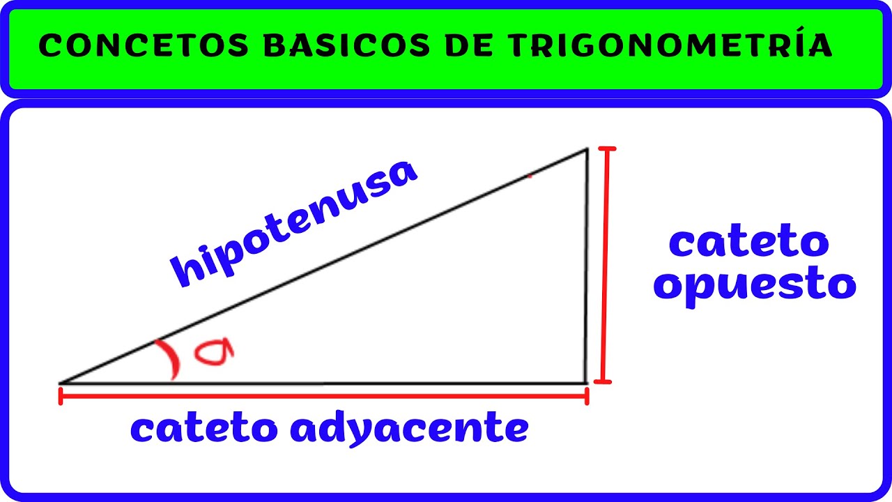 CATETO OPUESTO y CATETO ADYACENTE | triángulo rectángulo - YouTube