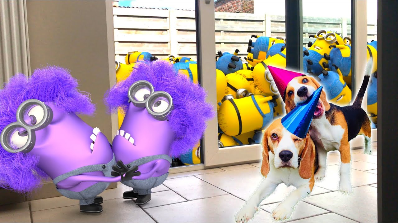 😍🍌 MINIONS IN REAL LIFE COMPILATION 1🍌😍 - YouTube