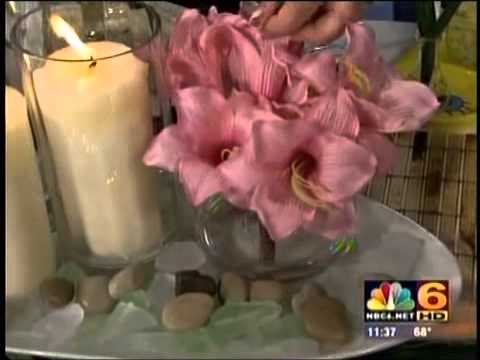Deborah Dimare | NBC 6 Appearance - YouTube