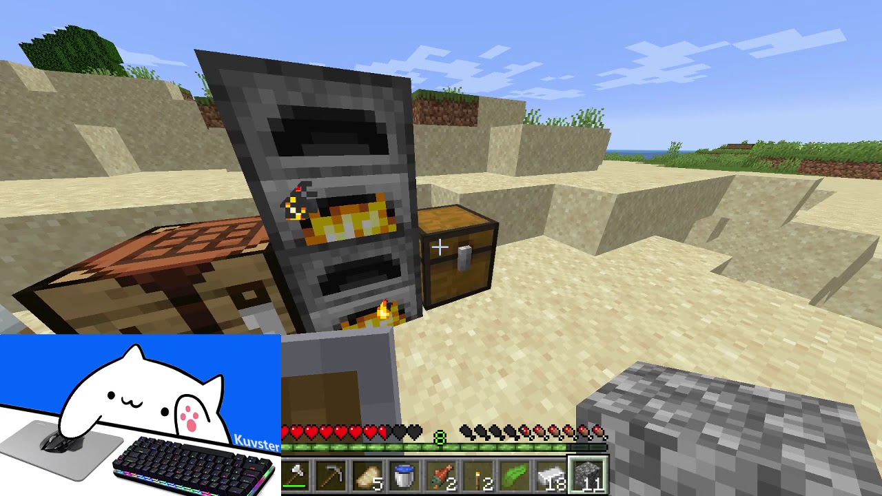 Bongo Cat plays Minecraft... - YouTube