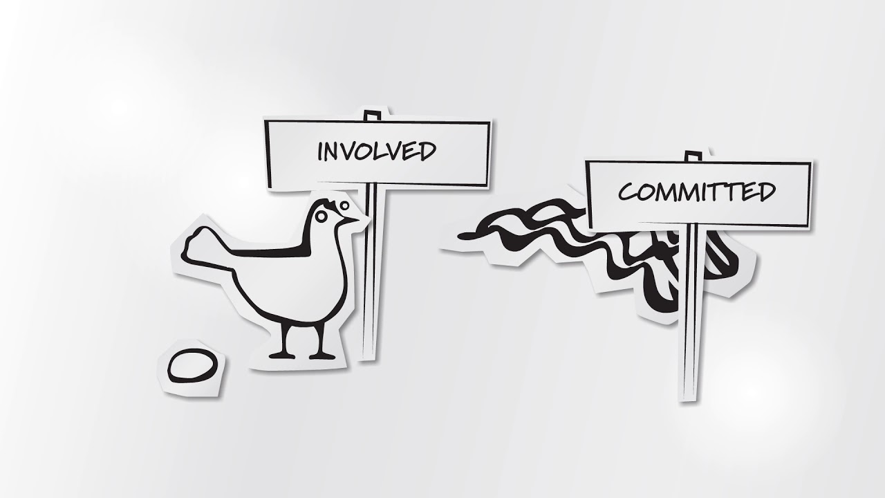 MYB-Involved Vs Committed - YouTube