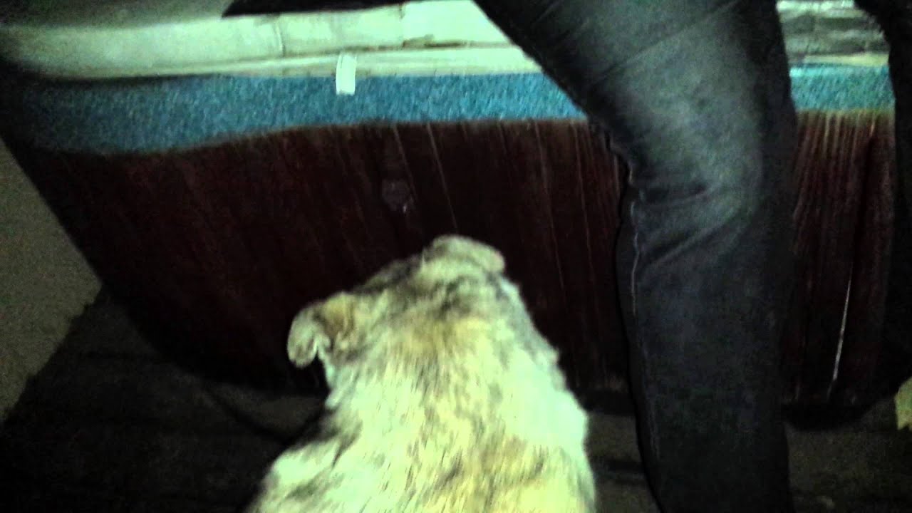 4th of July Lewiston-Clarkston Valley - YouTube