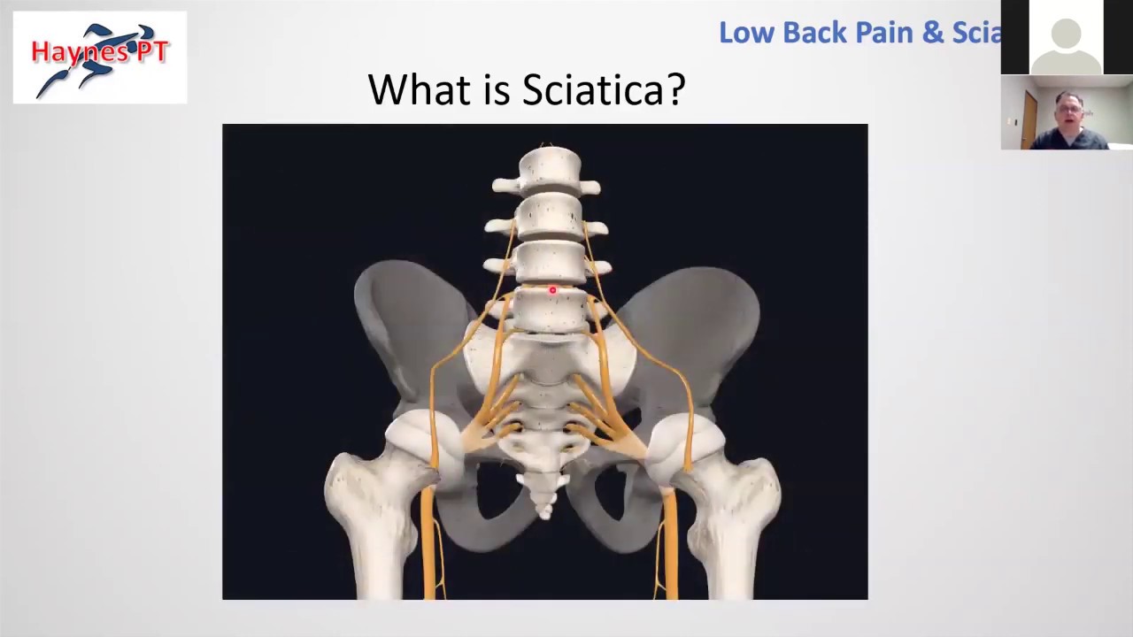 Virtual Low Back Pain & Sciatica Workshop - YouTube