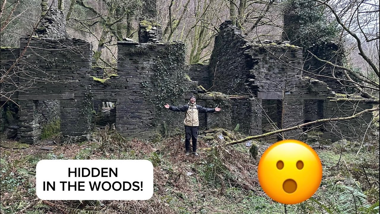 LOOK WHAT WE FOUND IN THE WOODS! 😍 Little Italy TO Abercwmeiddaw Slate ...