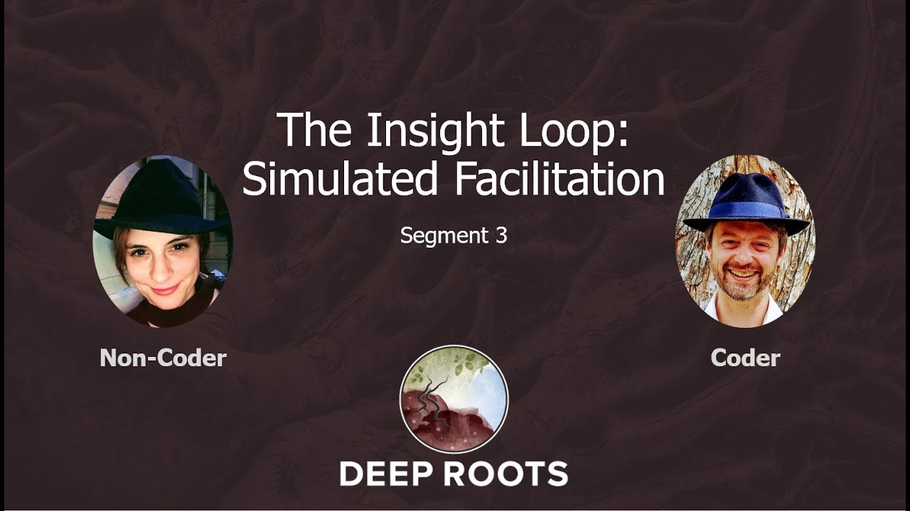 Insight Loop Facilitation Simulation: Segment 3 - YouTube