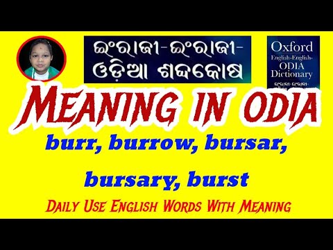 burr, burrow, bursar, bursary, burst Meaning In Odia | Daily Use ...