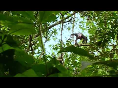 Plural Plus - UGANDA