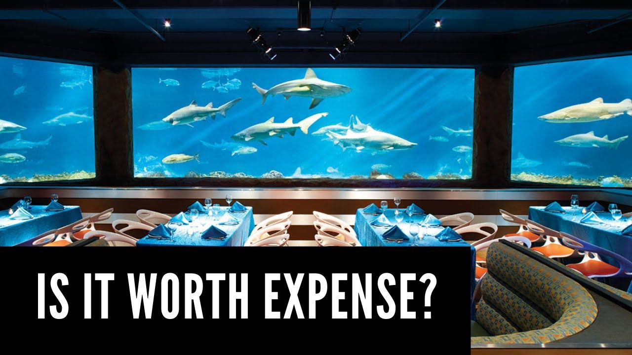 Sharks Underwater Grill SeaWorld Restaurant Orlando Florida - YouTube