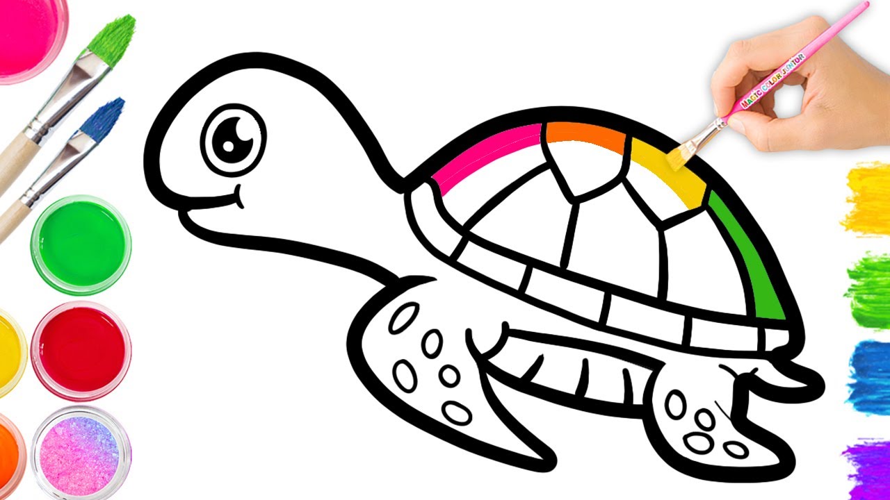 🐢How to Draw a Turtle | Easy Drawing and Coloring - YouTube