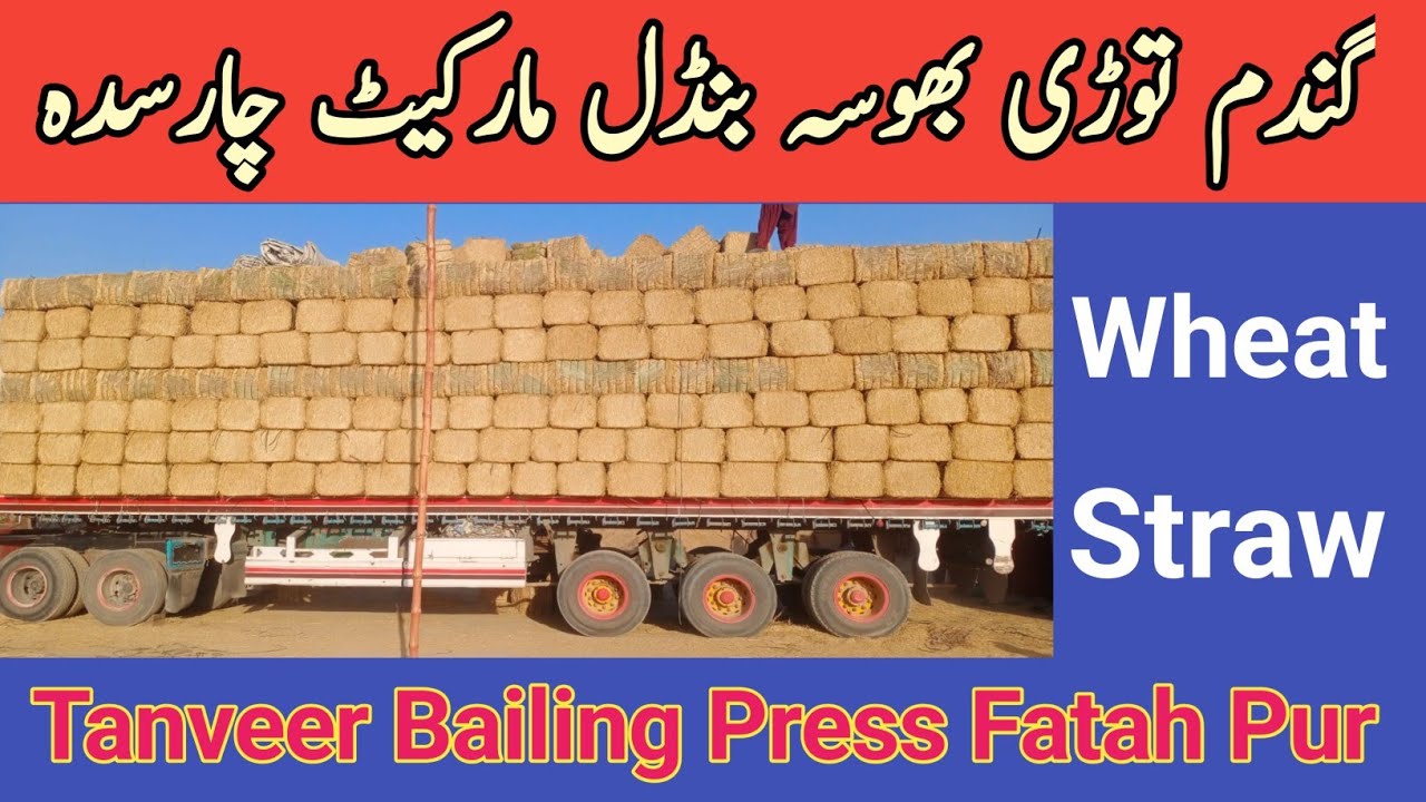 gandam toori bhosa bundal market charsadda | گندم توڑی بھوسہ مارکیٹ ...