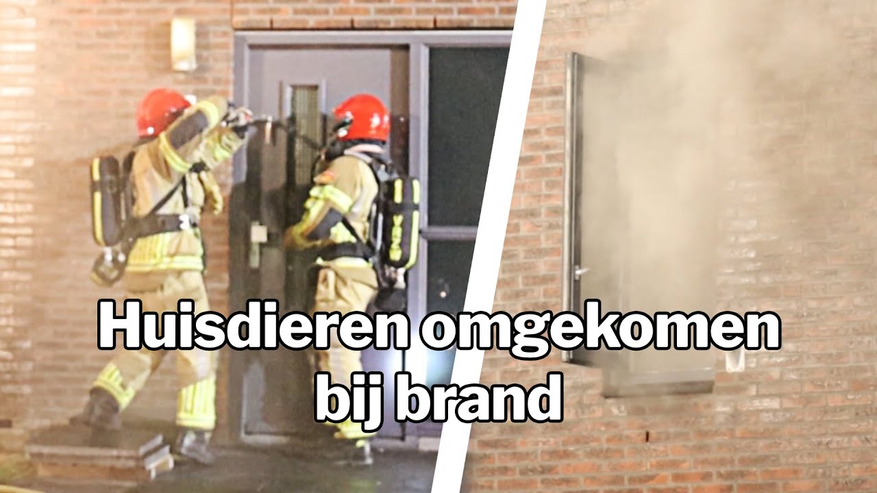 P2000 Zaanstreek-Waterland | P2000 monitor met live alarmeringen ...