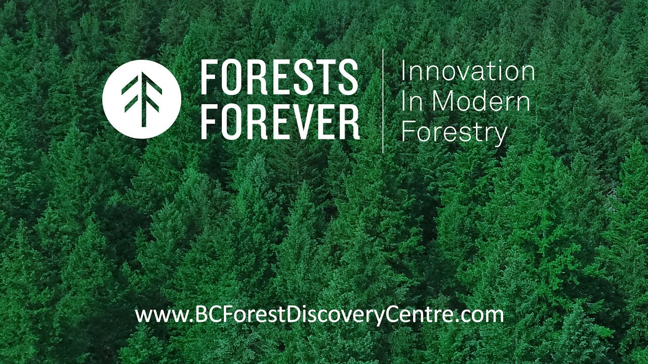 Forests Forever Exhibit Concept - BC Forest Discovery Centre - YouTube