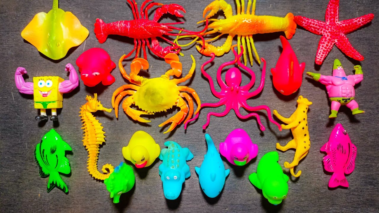 crabs, crocodiles, octopuses, starfish, sharks, ducks, frogs, fish ...