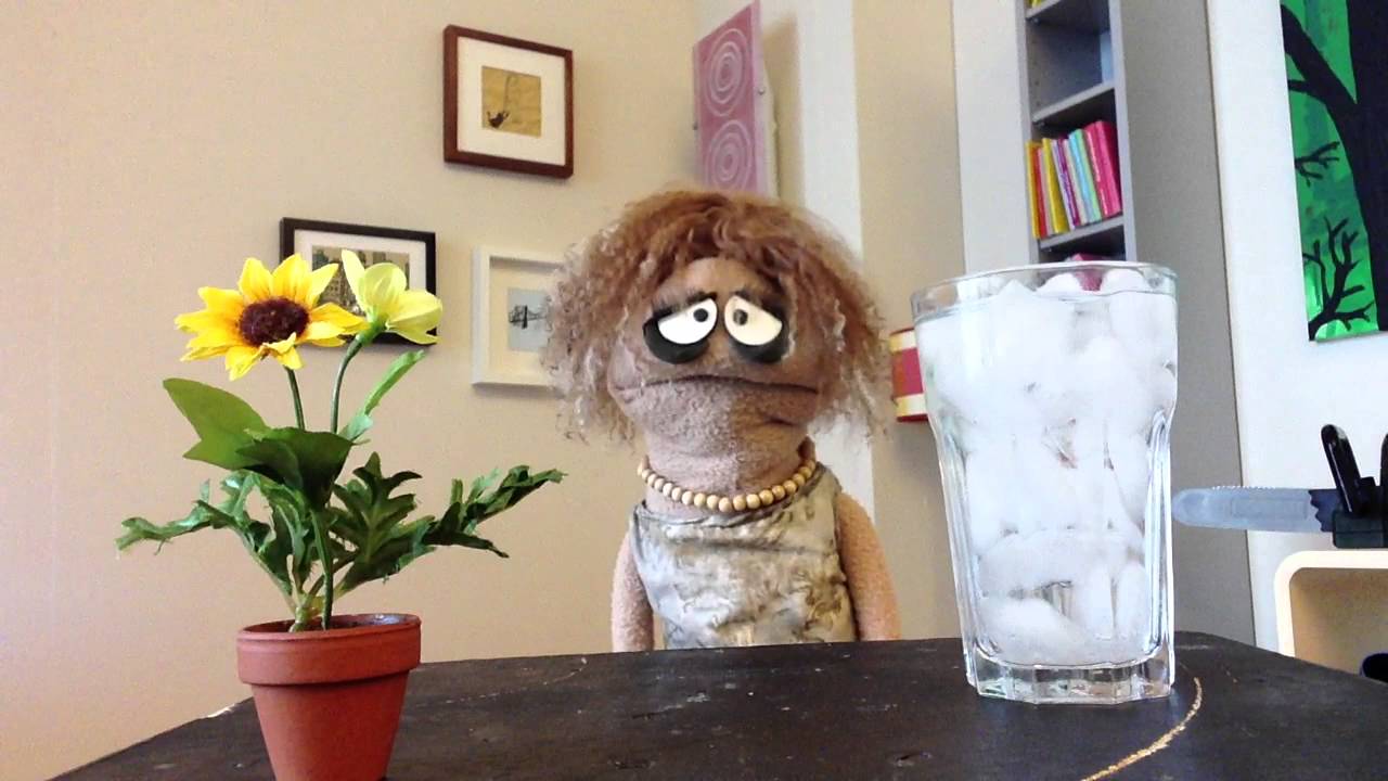 ALS Ice Bucket Challenge - Charming Traudl, Wiwaldi & Martin Reinl ...