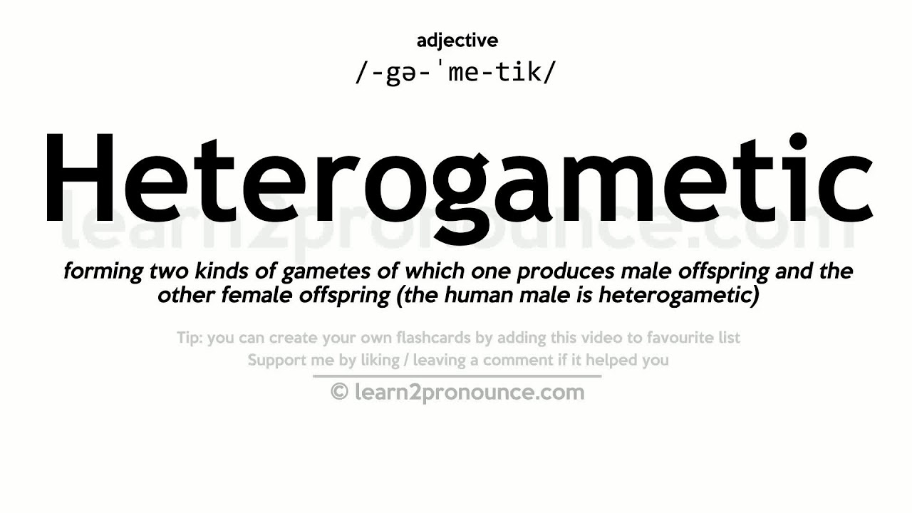 Pronunciation of Heterogametic | Definition of Heterogametic - YouTube
