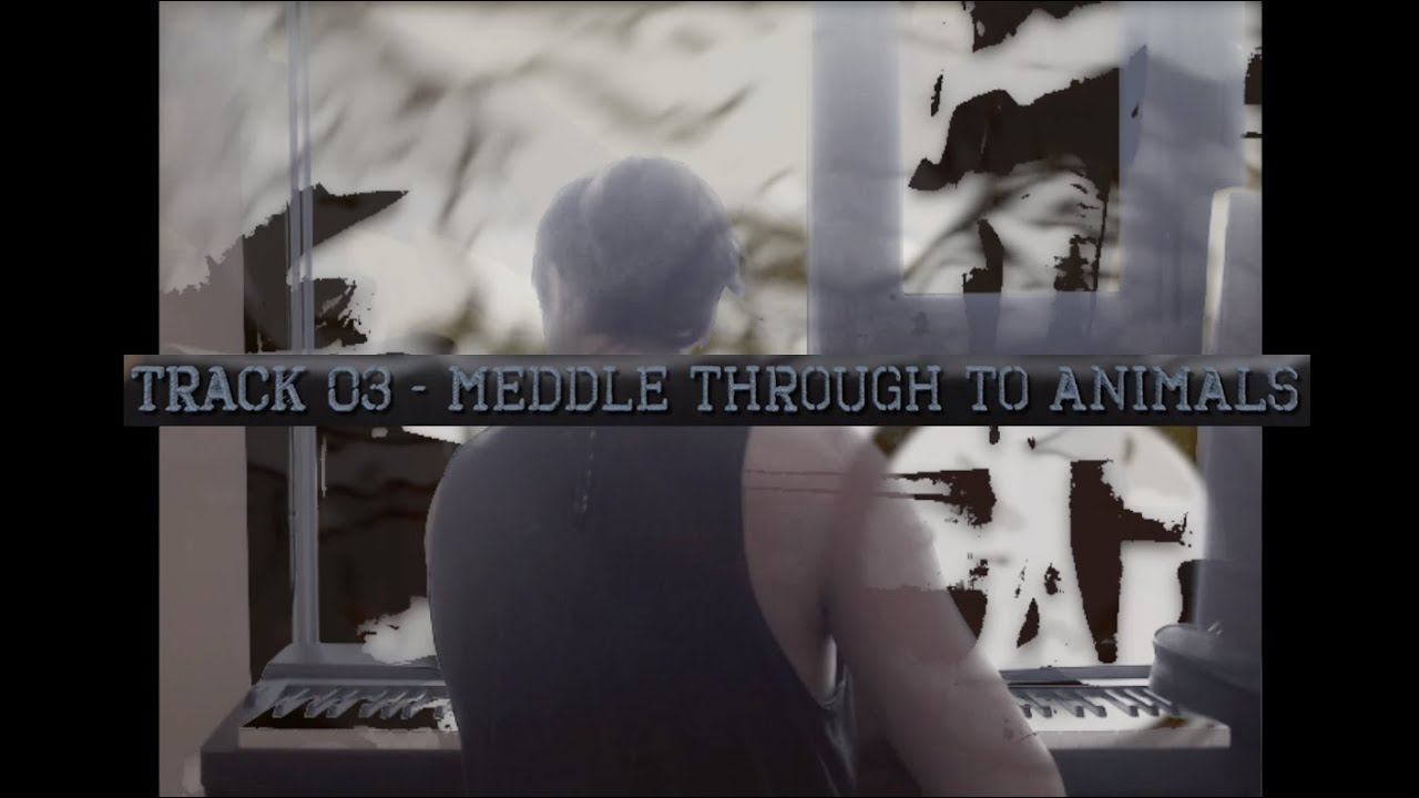 Meddle Through to Animals - Music Video - YouTube