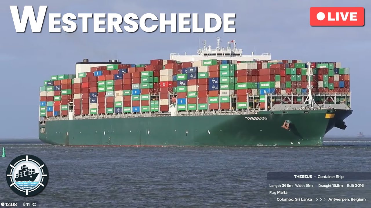 Live ship spotting on the Westerschelde ⚓ - YouTube