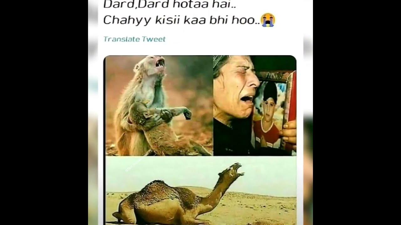 Top Harsh Reality Motivational Pictures With Deep Meaning One Picture top-harsh-reality-motivational-pictures-with-deep-meaning-one-picture