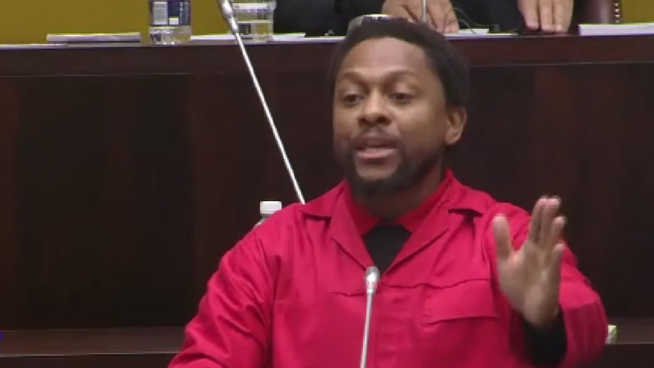 EFF Mbuyiseni Ndlozi Says The Police Are Working With Criminals - YouTube