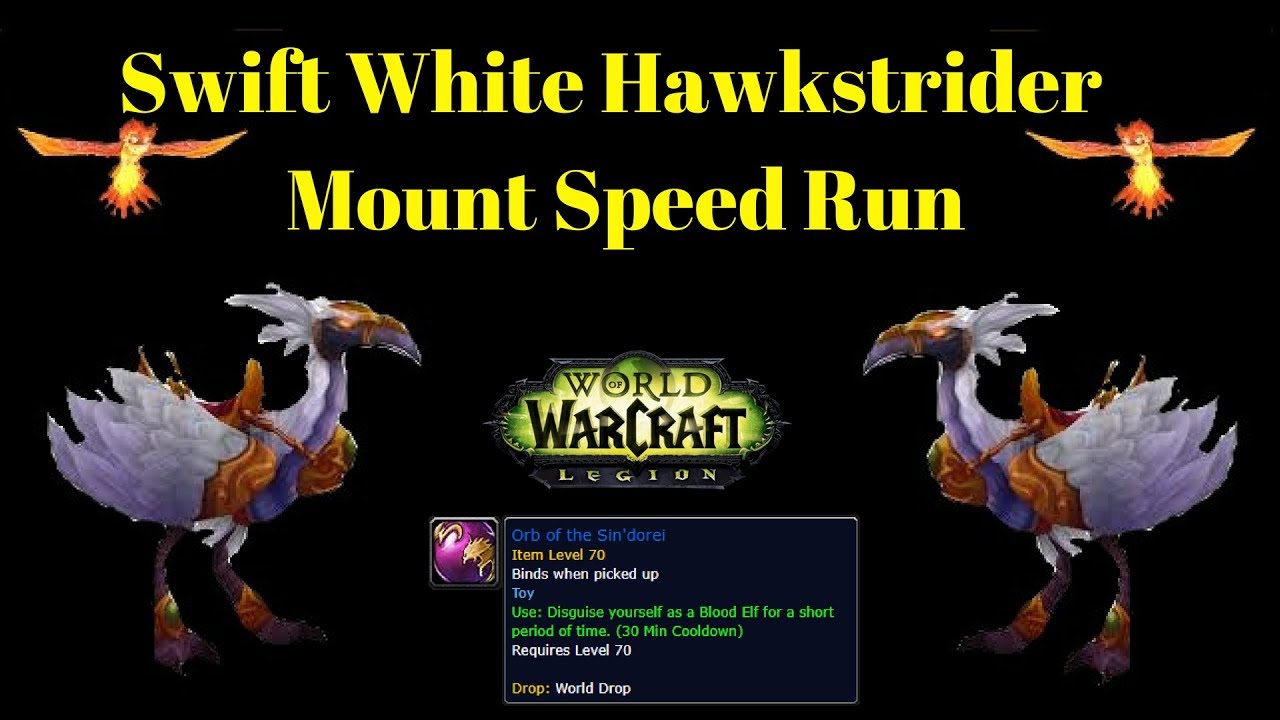 Warcraft Mounts - Swift White Hawkstrider Speed Mount Guide + Battle ...