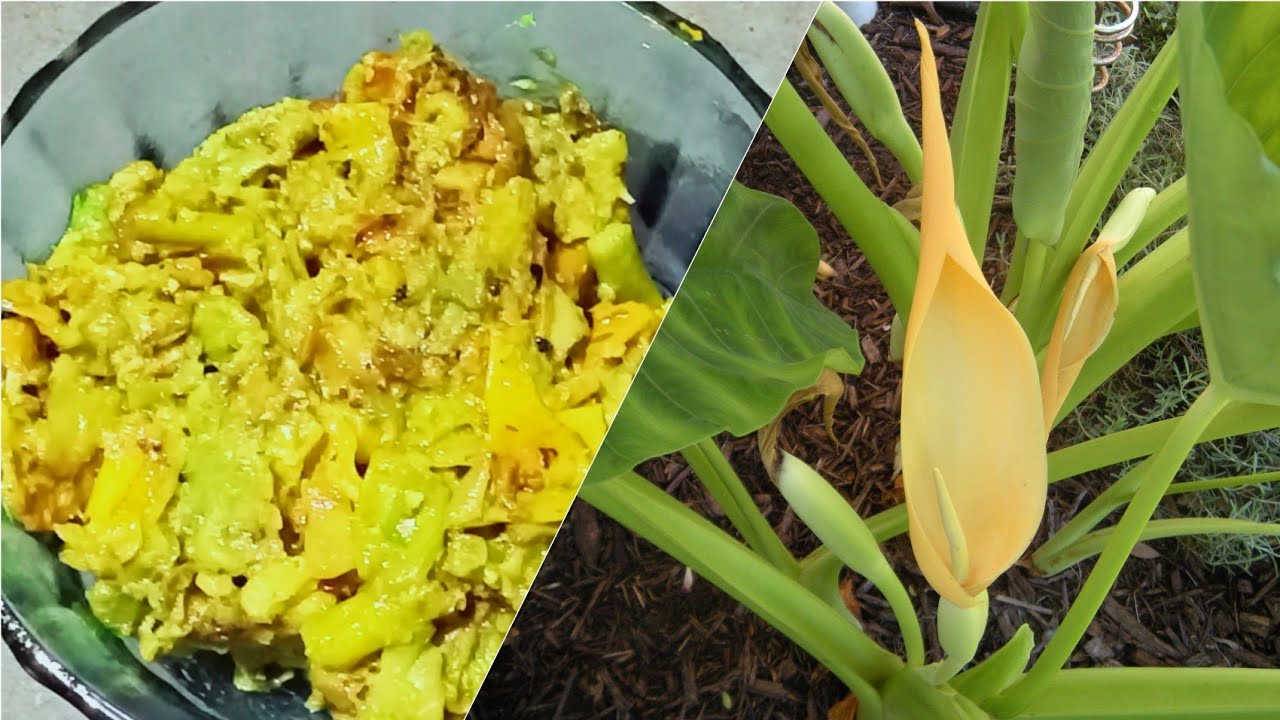 kachu flower recipe.kachu flower vorta. - YouTube