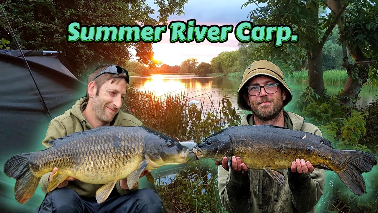 Summer River Carp Fishing. River Trent. Lots of Carp. Ep 20. - YouTube