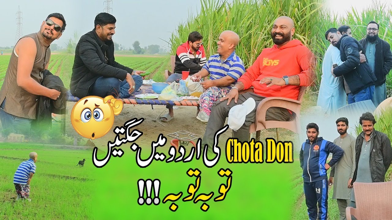 Chotta Don Ne Keen Urdu Me Jugtain | Funny | Road Studio New Funny ...