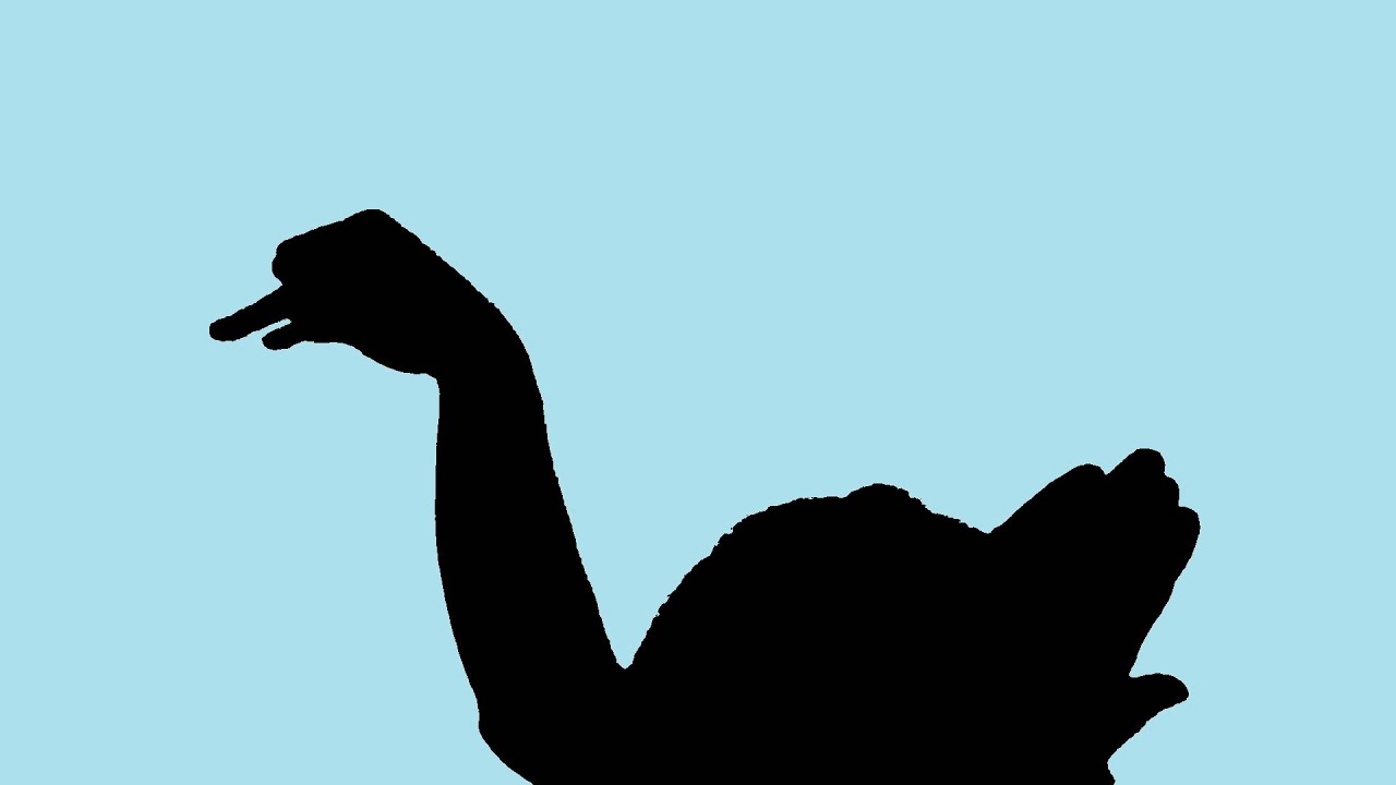 Hand Shadow Swan - How to make a swan with your hands - YouTube