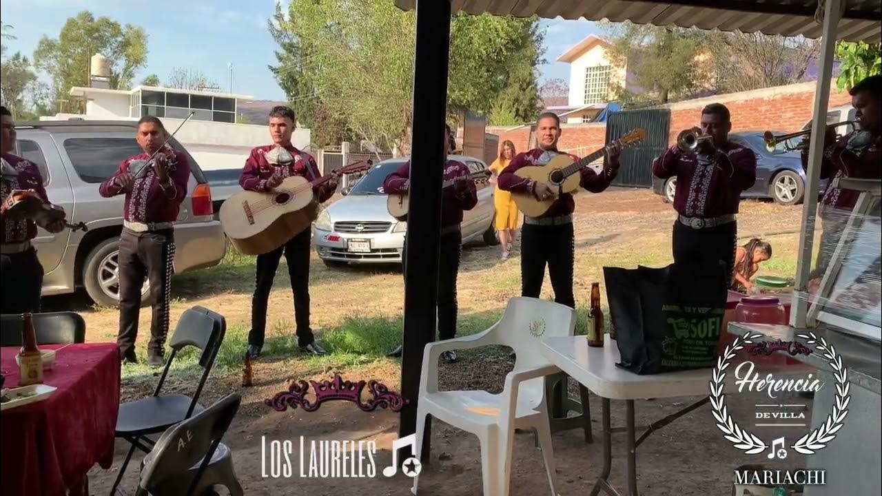 Mariachi Herencia De Villa - Los Laureles - YouTube