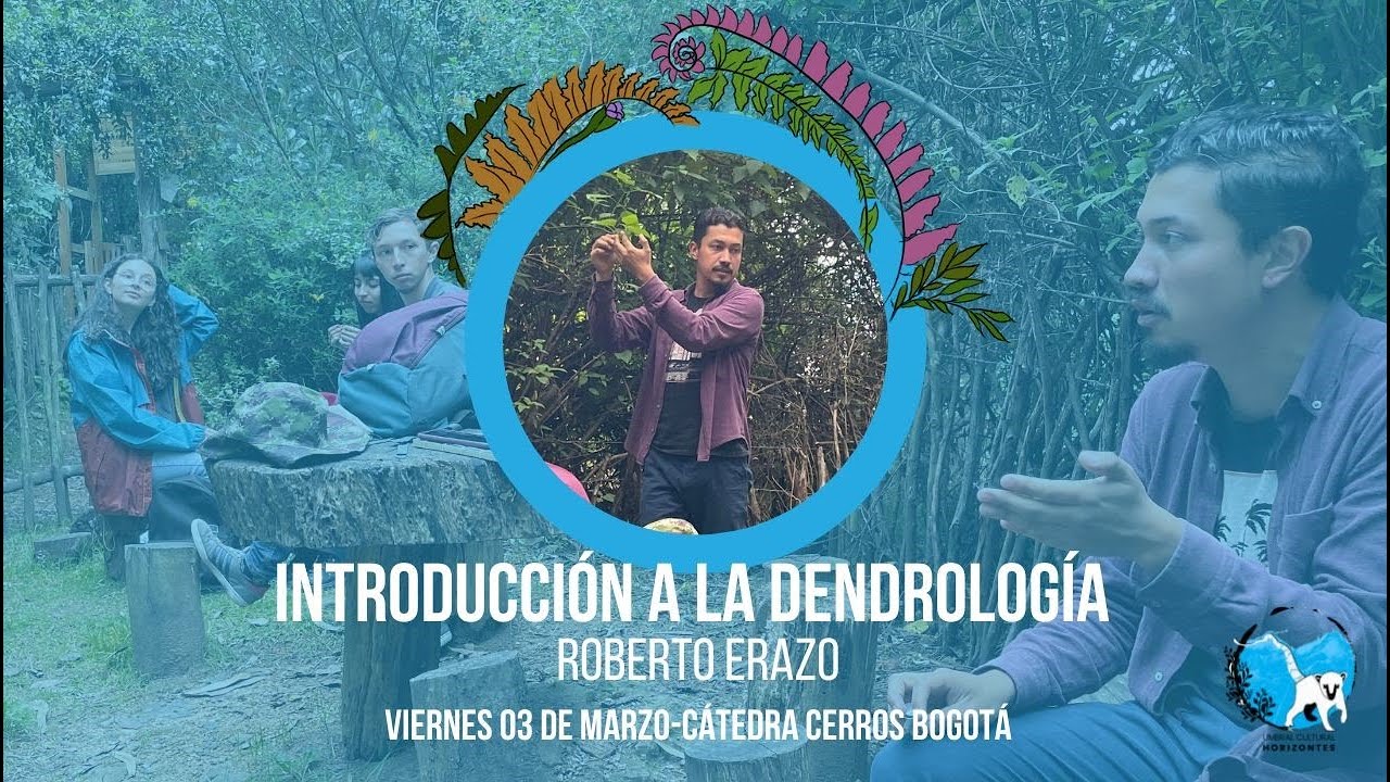 Introducción a la dendrología con las principales especies de la RUCH ...