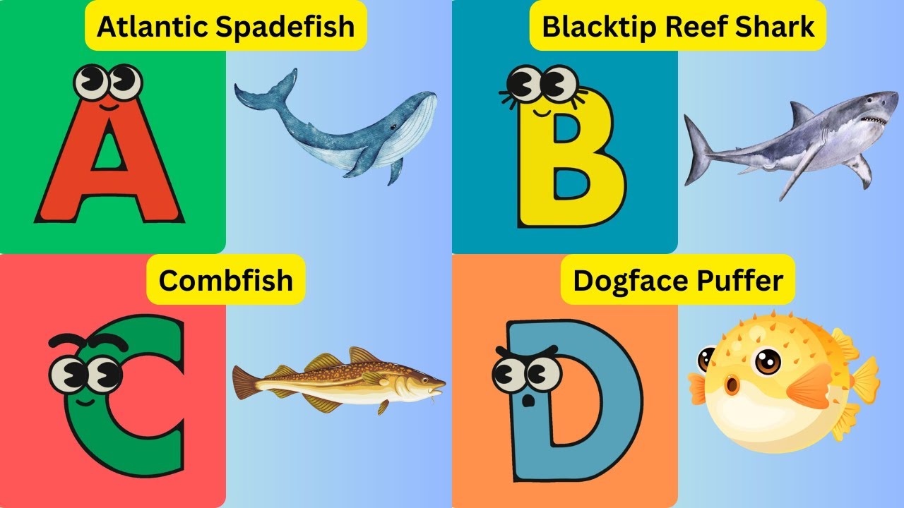 Ocean Animals ABC | A to Z Sea Animal Names with Sounds & Facts!"# ...