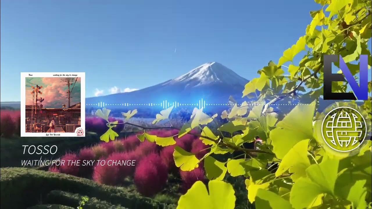 Tosso - Waiting For The Sky To Change [Lofi Pet Records EXCLUSIVE] - YouTube