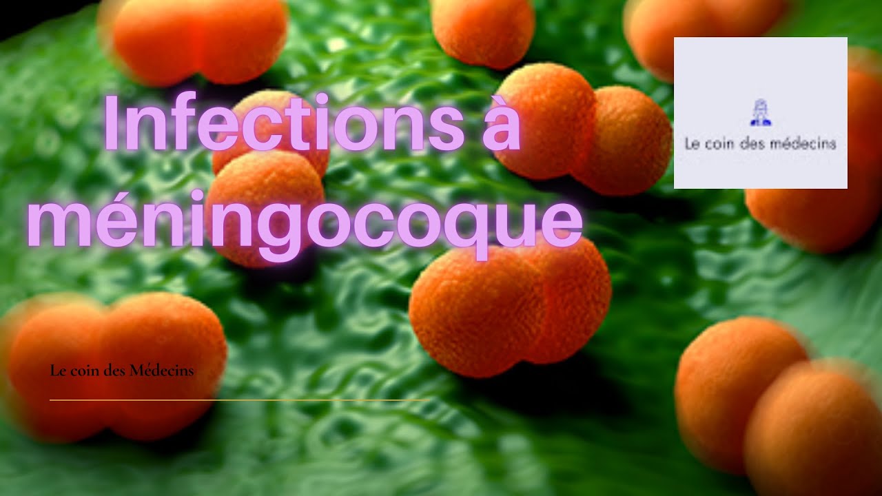 Infections à méningocoque - YouTube
