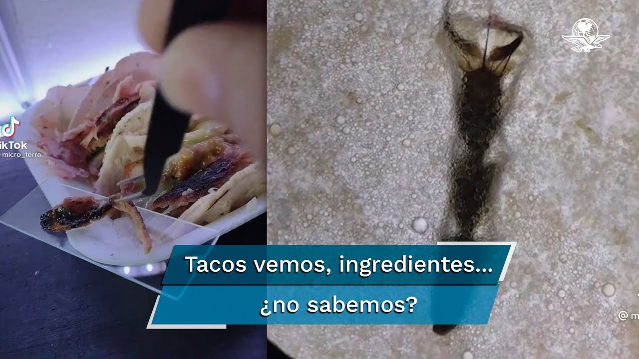 Analiza tacos bajo el microscopio, y encuentra... ¿ingredientes ...