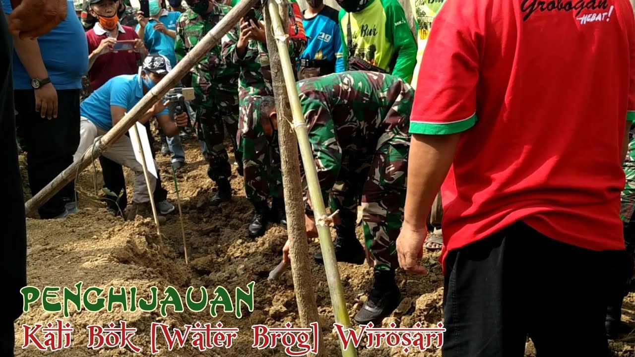 Penghijauan Kembali Kali Bok [Water Brog] Wirosari - YouTube