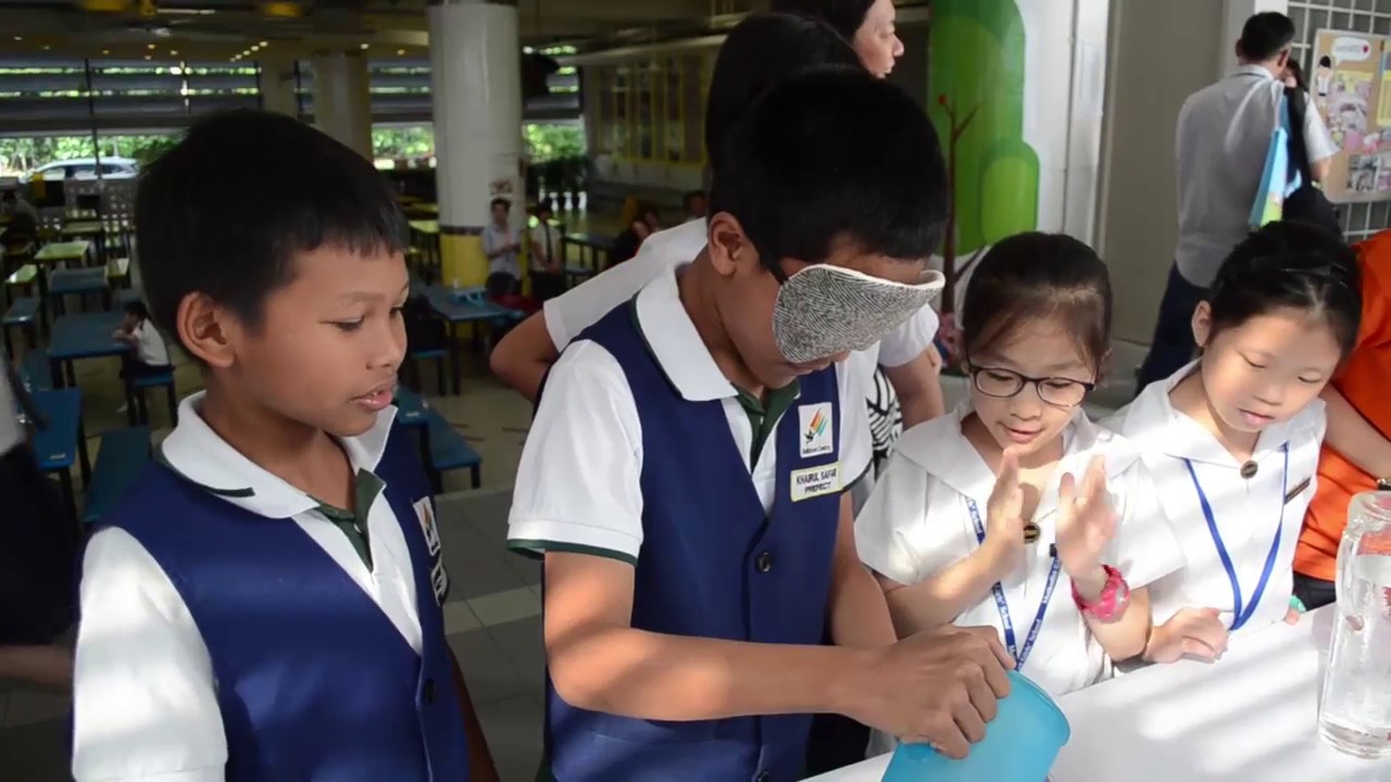 Best of Sharity 2017 - YouTube