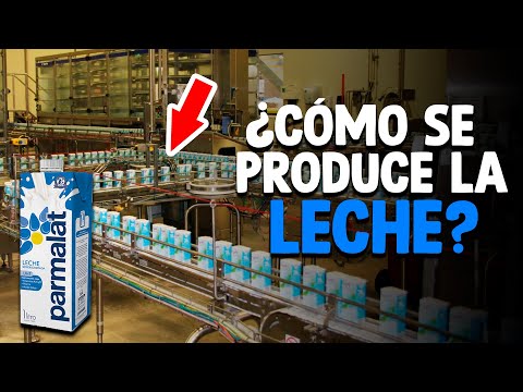 Cómo Se Produce La LECHE? [Proceso En Fábrica]