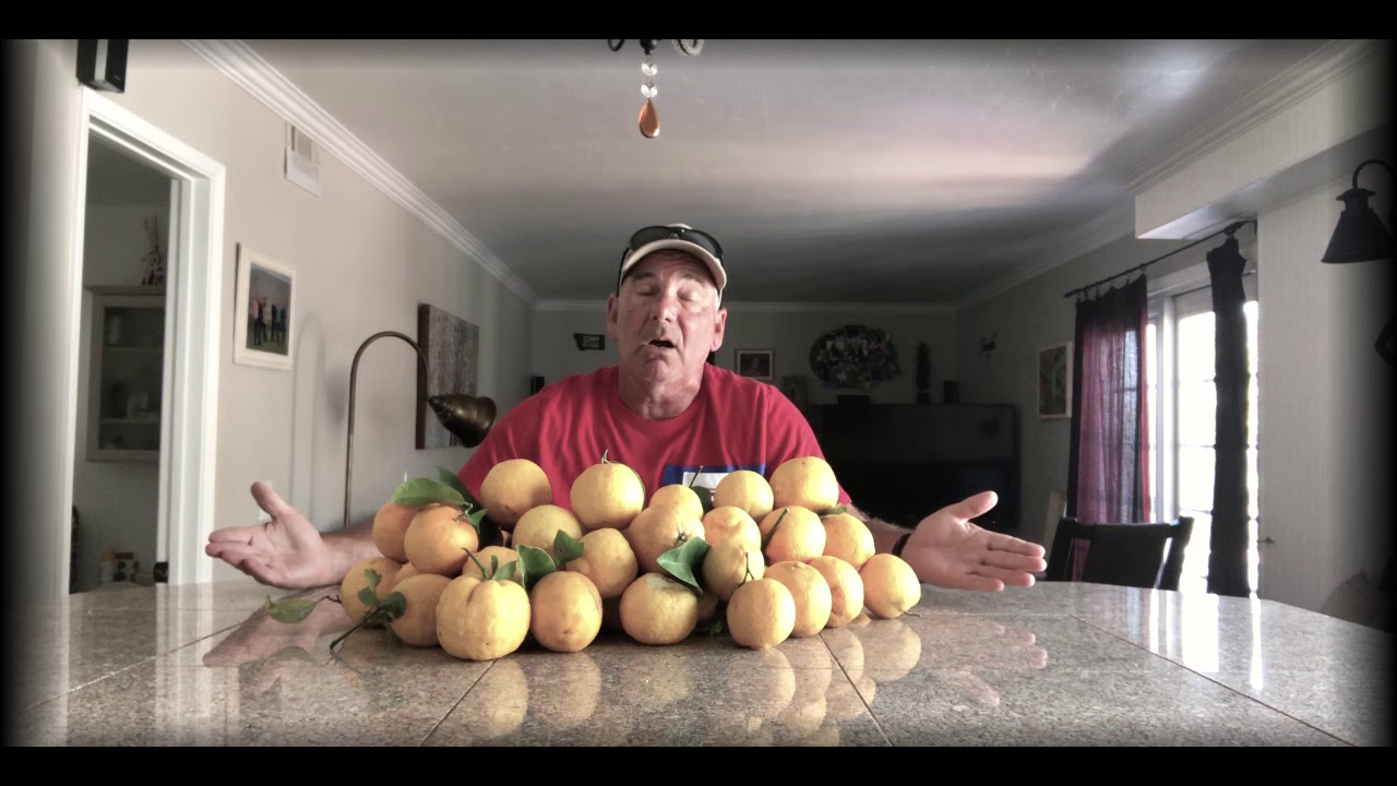 Mondays with Mike: Lemons - YouTube