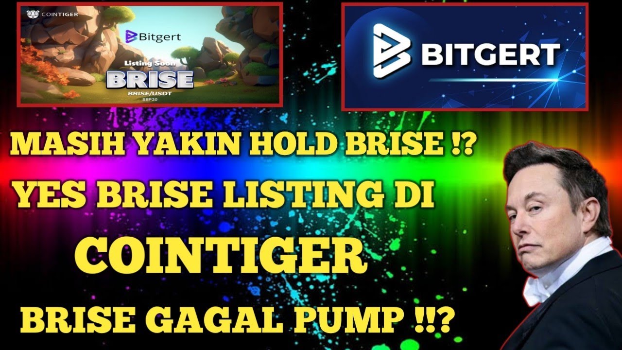 MASIH YAKIN HOLD BRISE !! YES BRISE LISTING DI COINTIGER !! BRISE GAGAL PUMP ?? - YouTube
