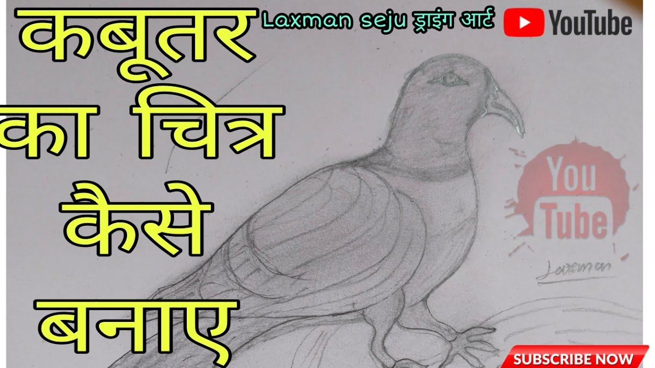 How to draw a pigeon with pencil drawing||kabutar ka आसान ड्राइंग ...