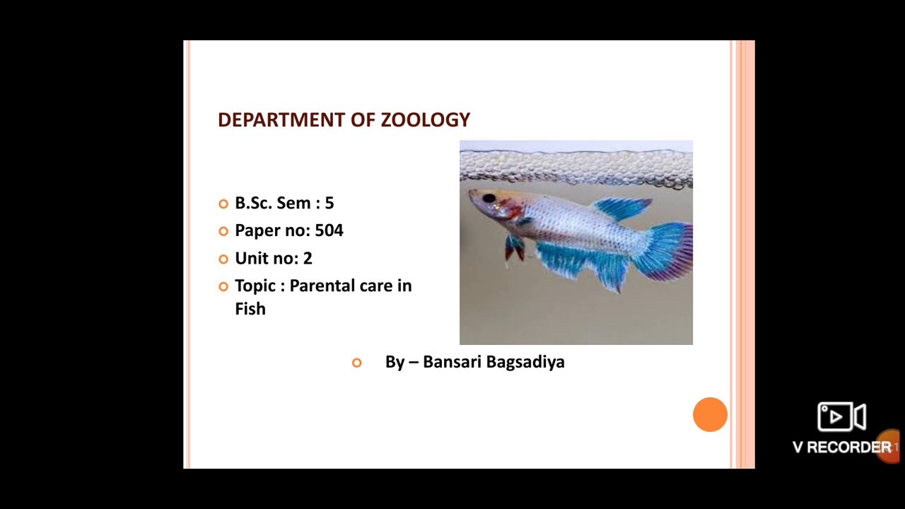 B.Sc. / Zoology / Sem -5 / Unit-2 / Paper No -504/ Parental Care in ...