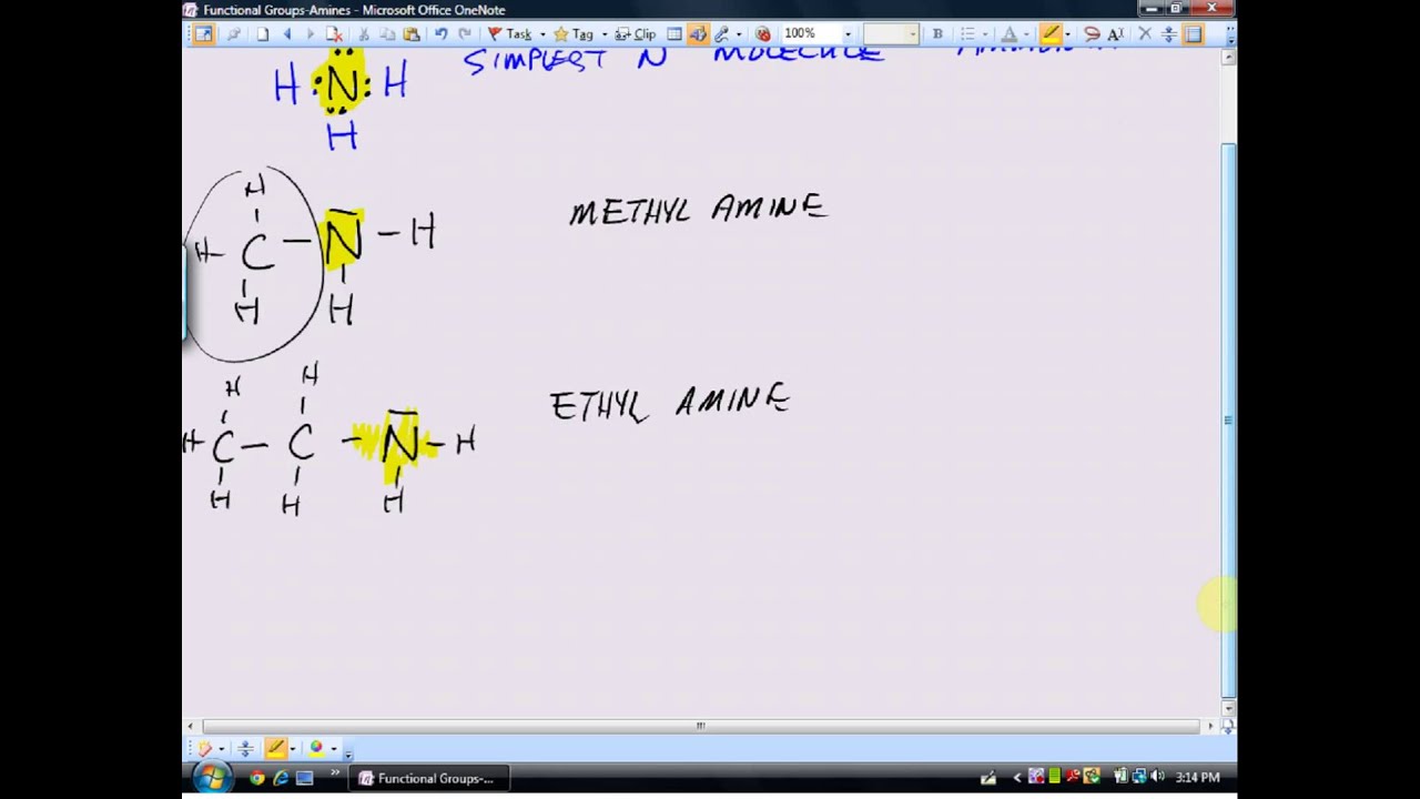 Functional Groups: Amines - YouTube