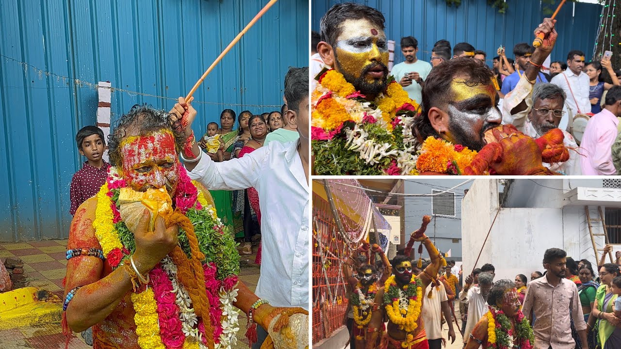 Karwan Darbar Maisamma Gavu | Ashok pothraj aggressive | Gavu kakey at ...