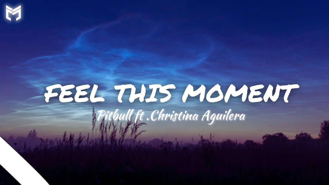 Pitbull ft. Christina Aguilera - Feel This Moment (Lyric Video) - YouTube