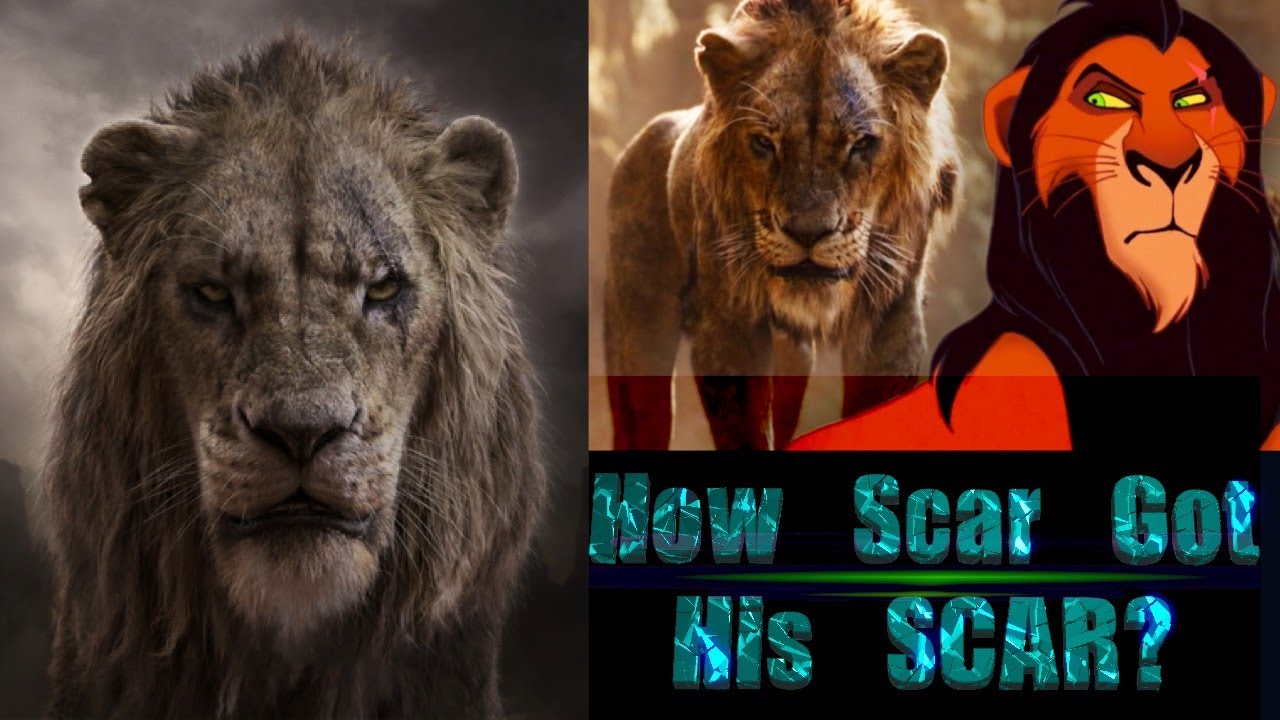 How Scar Got his Scar? 3 Theory Explained !!! - YouTube