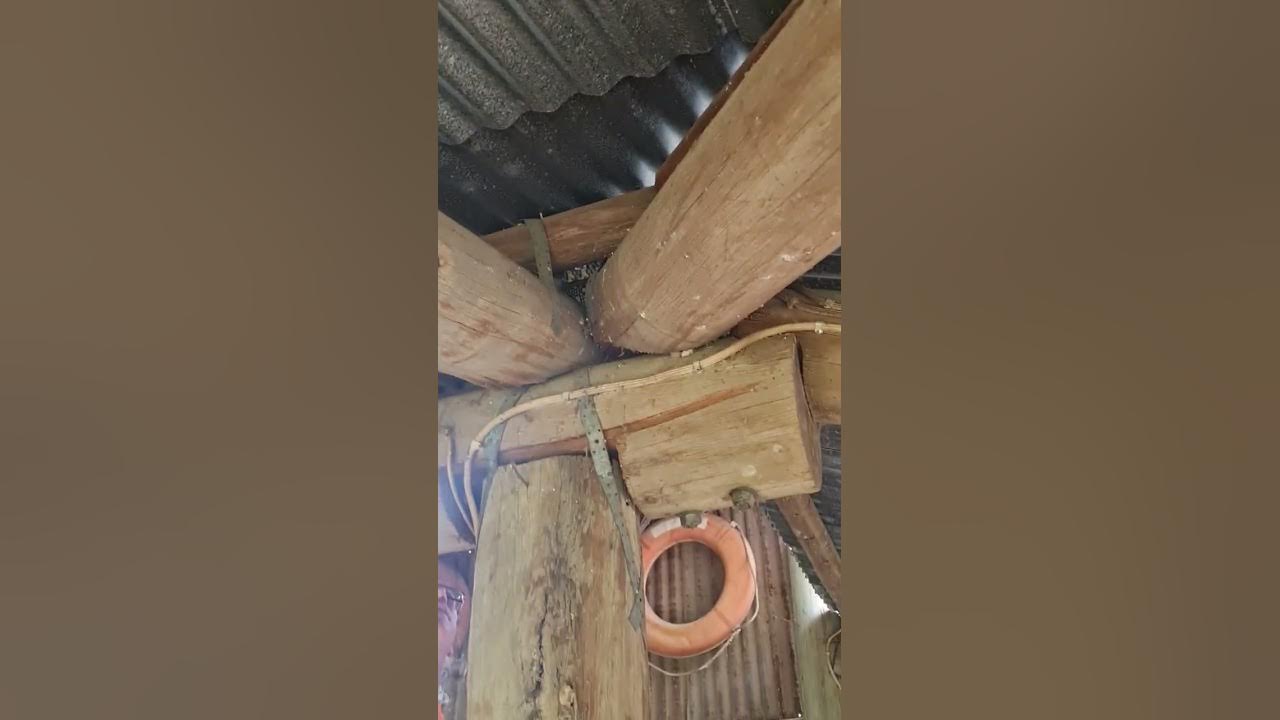 9ft Python in our lunch area. - YouTube