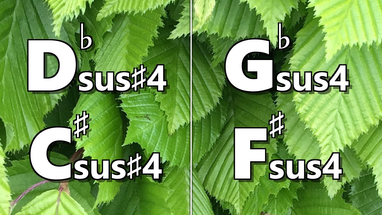 Dbsus #4 (C#sus #4) to Gbsus4 (F#sus4) Backing Track - YouTube